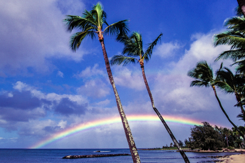 Parker Ranch In Hawaii: One Of The Largest Ranches In The U.S.