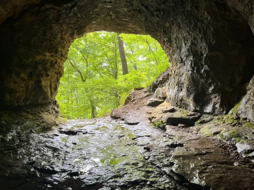 Lesser-Known Hiking Inside Hoosier National Forest: Patton Cave Loop