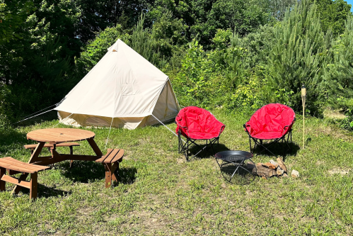 The Historic Reason Why Michigan Is Called The Wolverine State