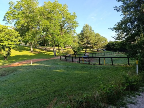 There Are So Many Things To Do In Cope, South Carolina