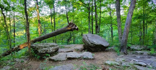 Lesser-Known Hiking Inside Hoosier National Forest: Patton Cave Loop