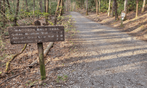 You'll Love This Secluded Hike in Great Smoky Mountains National Park