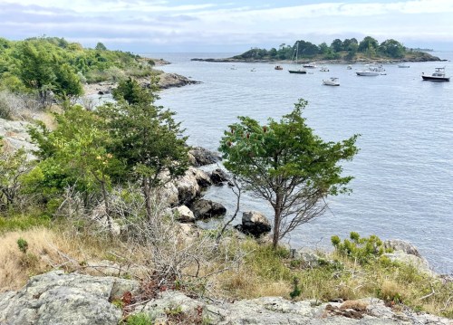 Misery Island Reservation Loop: Strange Trail Name in MA