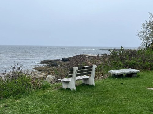 Odiorne Point State Park in New Hampshire: A Little-Known Oasis for Birding