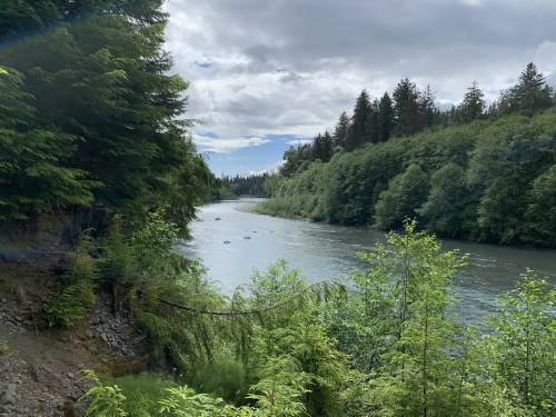 Queets River Valley: A Peaceful Corner in Washington's Olympic National ...