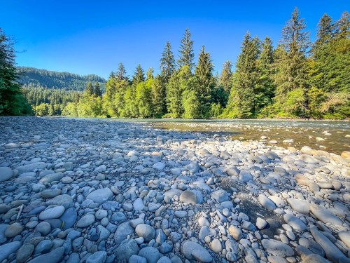 Queets River Valley: A Peaceful Corner in Washington's Olympic National ...