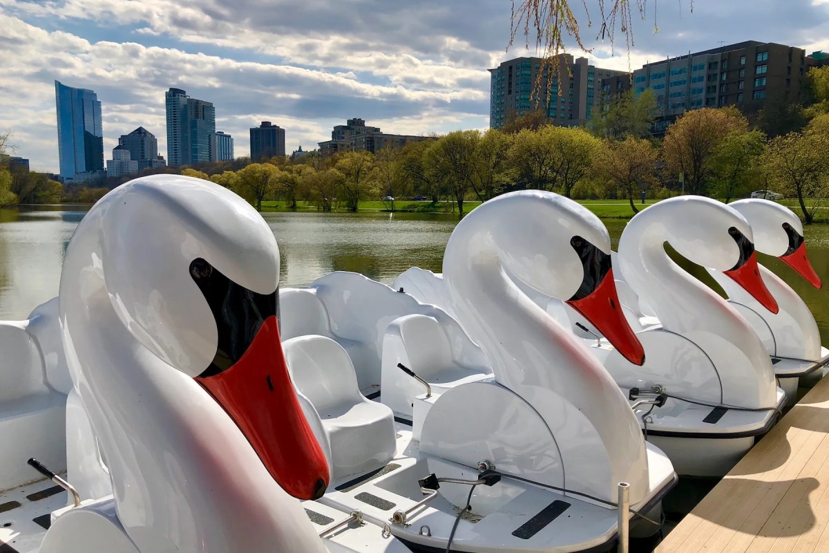 An Illuminated Night Ride on a Swan Boat Makes for a Dreamy Summer ...