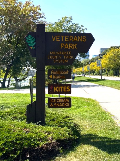 An Illuminated Night Ride on a Swan Boat Makes for a Dreamy Summer ...