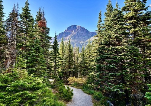 Scenic Point Trail: The Most Boring Hiking Trail Name in Montana