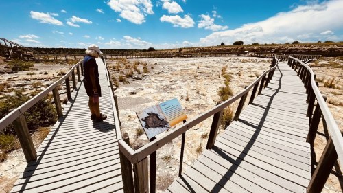 Best State Parks for Stargazing in New Mexico: Clayton Lake State Park