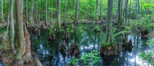 17 Best Day Trips in Virginia: Must-See Attractions