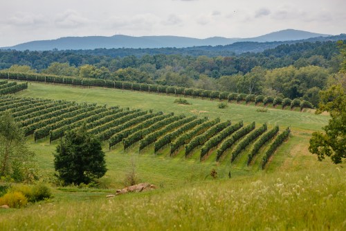 17 Best Day Trips in Virginia: Must-See Attractions