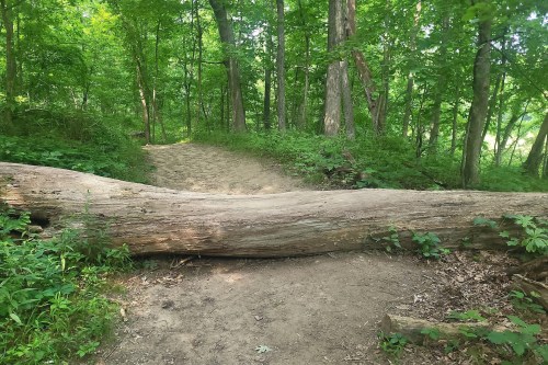 Discover Sabula Island: Iowa's Hidden Gem