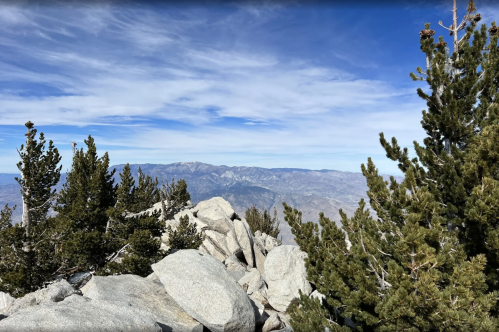 Discover Pine Cove: Southern California’s Hidden Mountain Escape