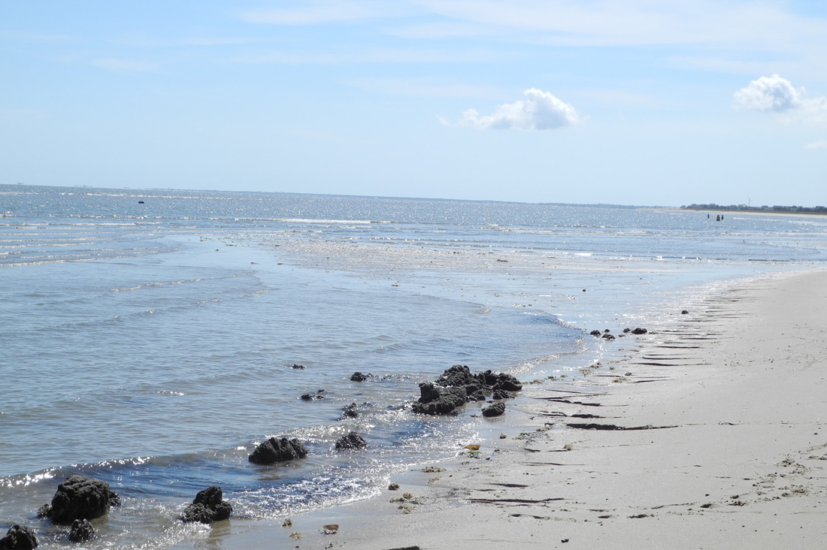 This Delaware Beach Is Perfect for Finding Hidden Treasures