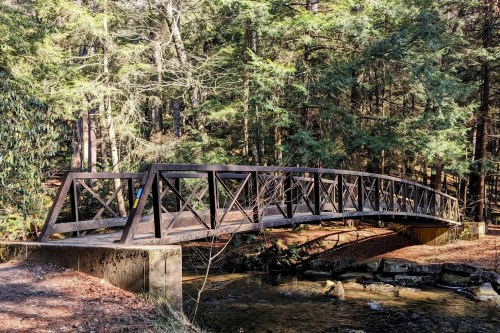 Don't Miss This Special Moonlight Hike in Pennsylvania