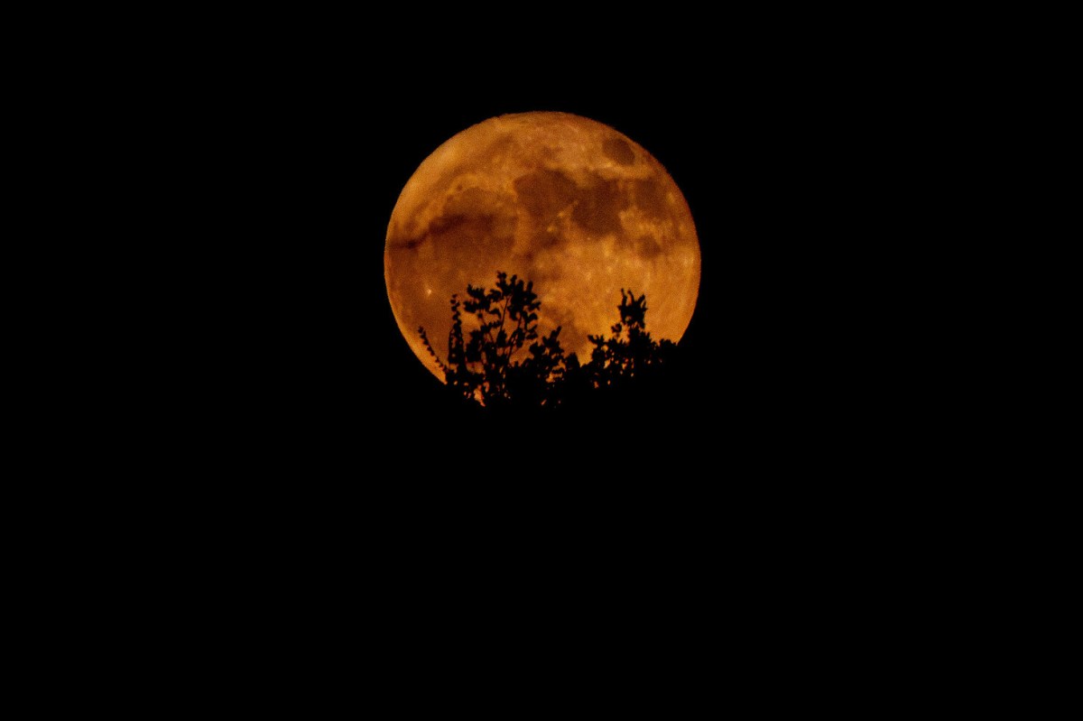 Don't Miss This Special Moonlight Hike in Pennsylvania