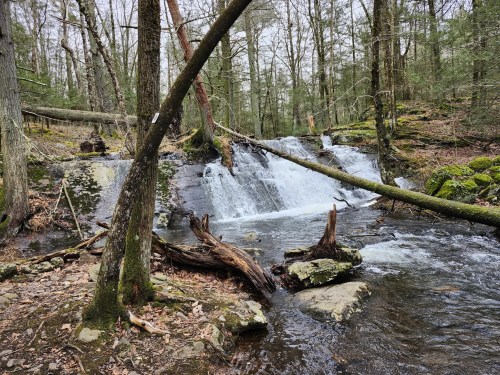 A Unique Waterfall Hike in New Jersey Is Hiding in Stokes State Forest