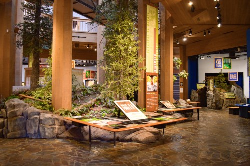 The World Forestry Center in Portland: Cool Off and Get Lost at Oregon ...