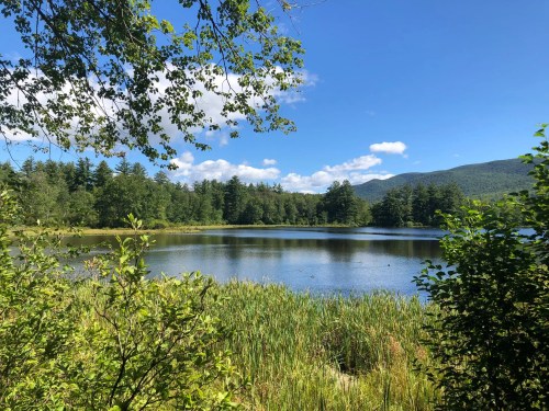 The 15 Best State Parks in Massachusetts to Visit ASAP