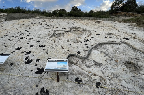 Where Was The First Rodeo In America: Deer Trail, Colorado