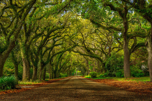 Things To Do In Autumn: 2024 Fall Festivals In Alabama