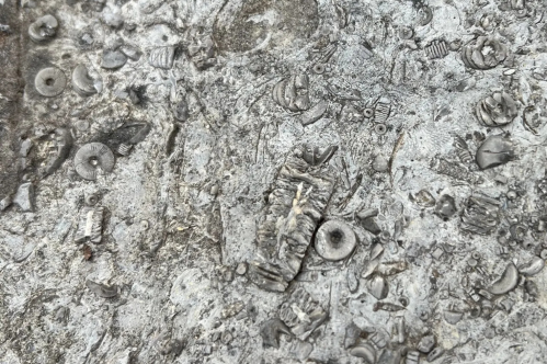 Cross Bar Ranch: The Largest Offroad Park in Oklahoma