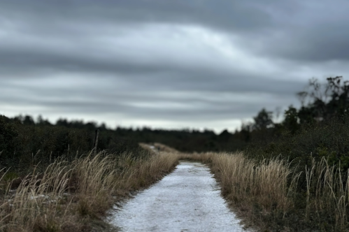 Wicked Bread Co: The Best Cinnamon Bread and Treats in Plantation, Florida
