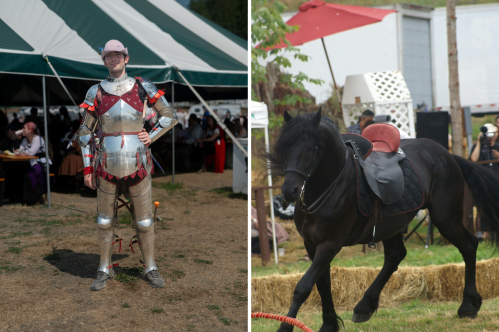 Washington Midsummer Renaissance Faire: Magical Summer Festival in the ...