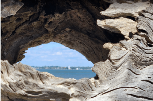 Keller’s Flea Market In Georgia: Savannah Flea Market