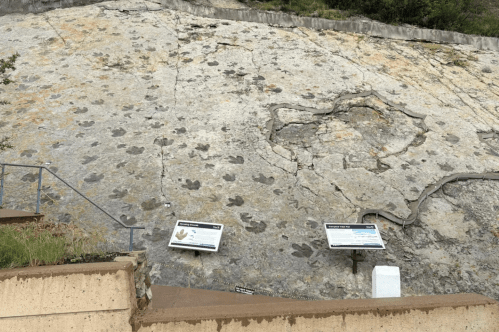 Best Hiking Trails in Colorado: Dinosaur Ridge