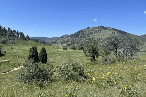 Best Hiking Trails in Colorado: Dinosaur Ridge