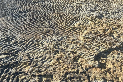 Best Hiking Trails in Colorado: Dinosaur Ridge