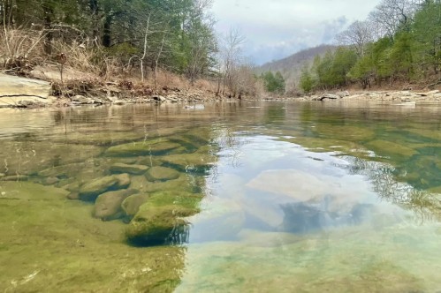 Best Hikes in Arkansas: Fossil Flats Loop