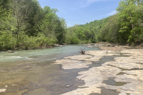 Best Hikes in Arkansas: Fossil Flats Loop