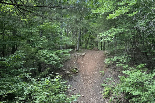 Best Hikes in Arkansas: Fossil Flats Loop