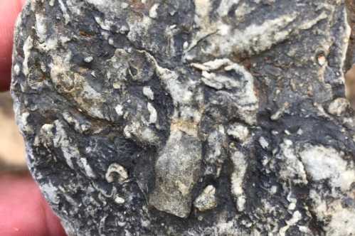 Best Hikes in Arkansas: Fossil Flats Loop