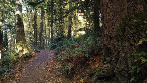 The World Forestry Center in Portland: Cool Off and Get Lost at Oregon ...
