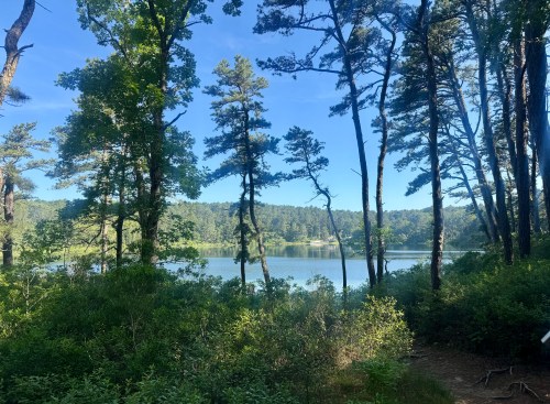 Beyond the Beaches: Discover the Little Known Kettle Ponds of Cape Cod