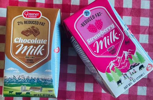 Napoleon Dynamite Road Trip: My Experience Visiting 5 Filming Locations