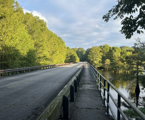 Chicot State Park Is the Single Best State Park in Louisiana