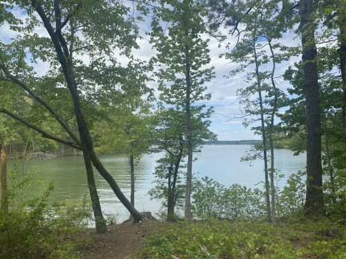 The 15 Best State Parks in South Carolina to Visit ASAP