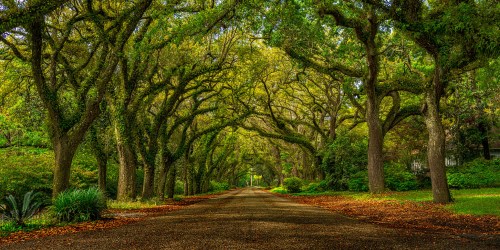 Magnolia Springs, Alabama: The Southern Village That Feels Like Europe