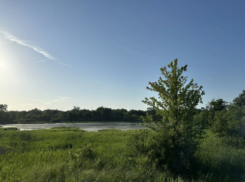 I Was Pleasantly Surprised by This Marsh Trail in Indiana