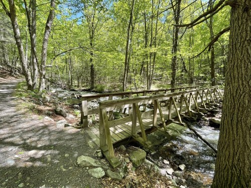 A Unique Waterfall Hike in New Jersey Is Hiding in Stokes State Forest
