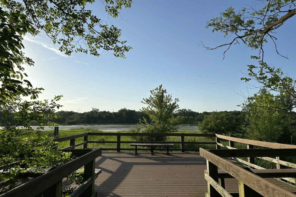 I Was Pleasantly Surprised by This Marsh Trail in Indiana