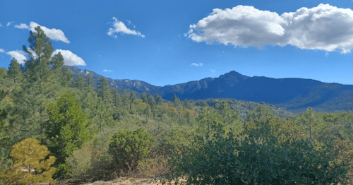 The 15 Best Things To Do In Southern California In This Fall