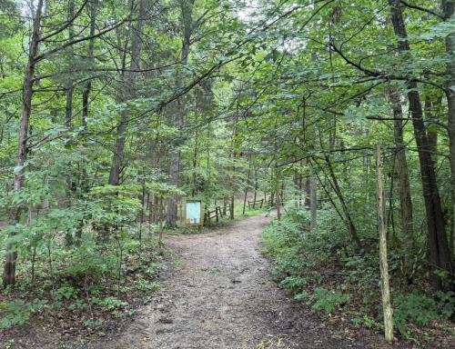 One of the Best Waterfall Trails Is in Radcliff, Kentucky