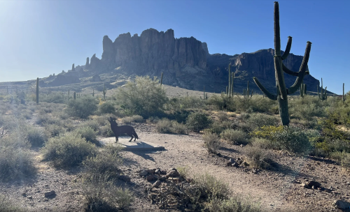 This Is the Ultimate Moonlight Hike for July's Buck Moon in Arizona