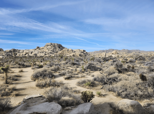 Barker Dam in Joshua Tree National Park: California Hike With ...